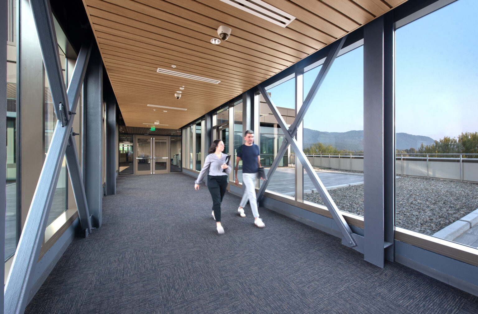 Explore the Office Spaces of Costco's Corporate Campus