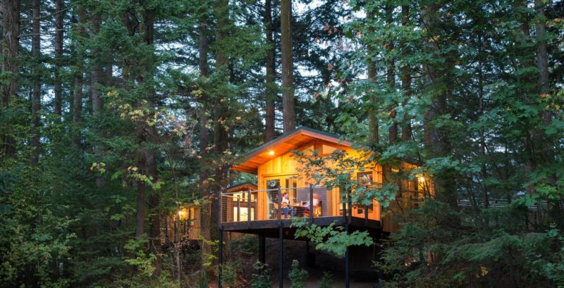 Unique Hospitality Design for Skamania Lodge Treehouses and Event ...