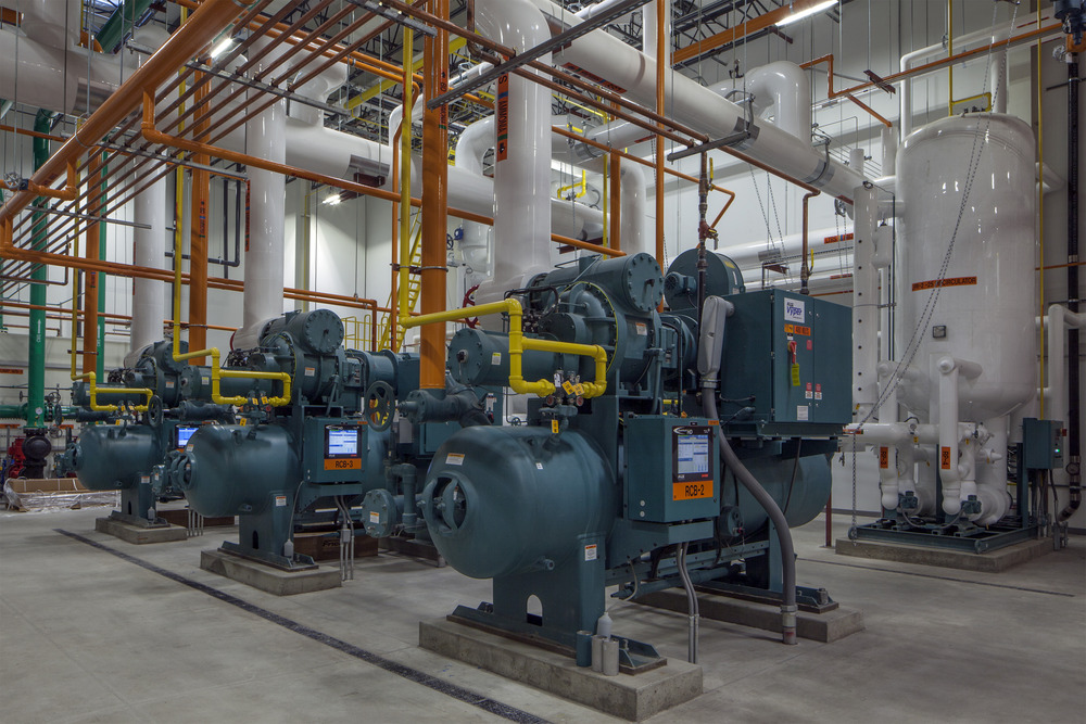 Protein Processing Plants